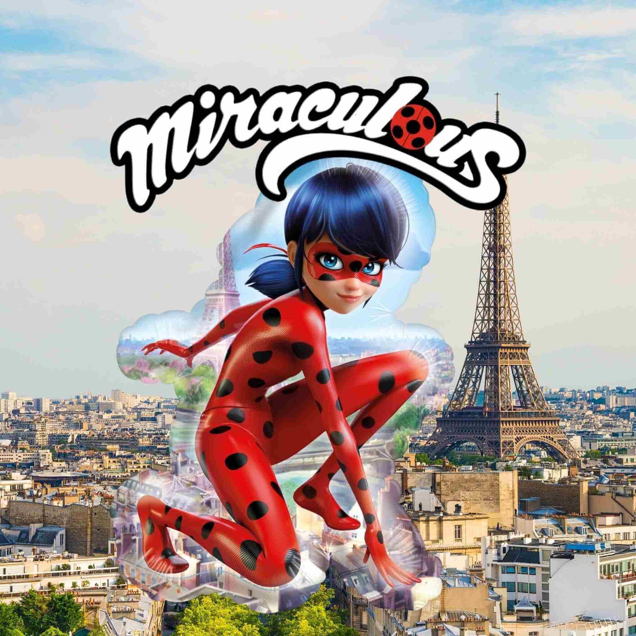 🐞 Ladybug/ Miraculous Party bei Hey Party